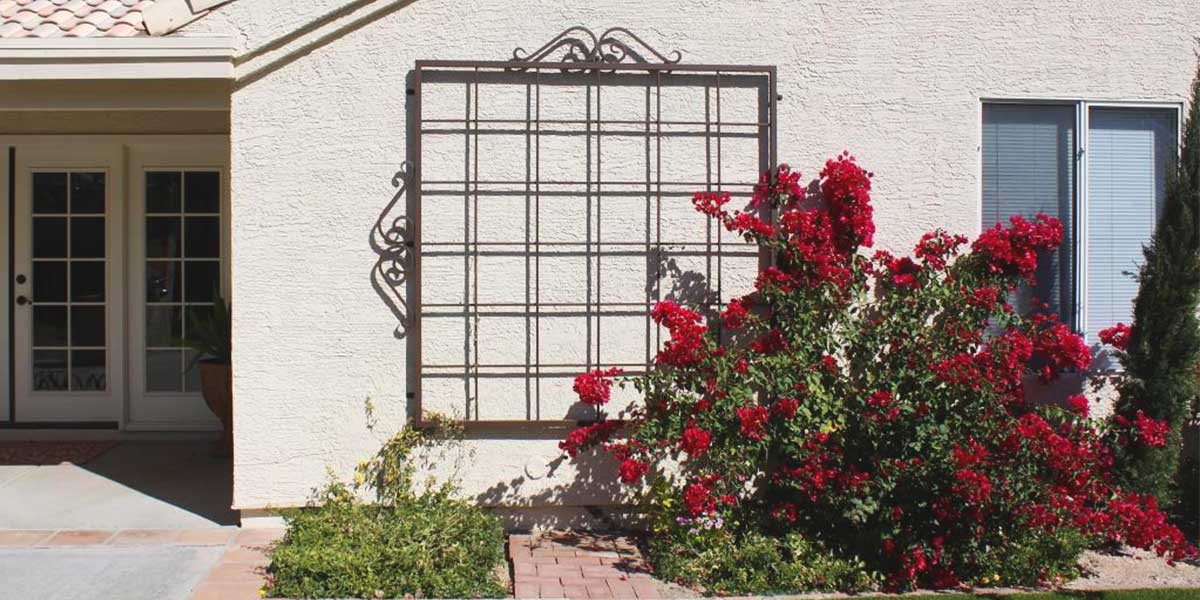 Iron Trellises: Transform A Wall From Boring to Beautiful | First ...