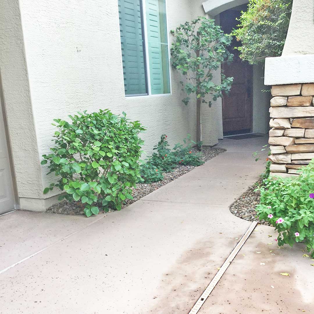 Tuscan Iron Gate - First Impression Ironworks